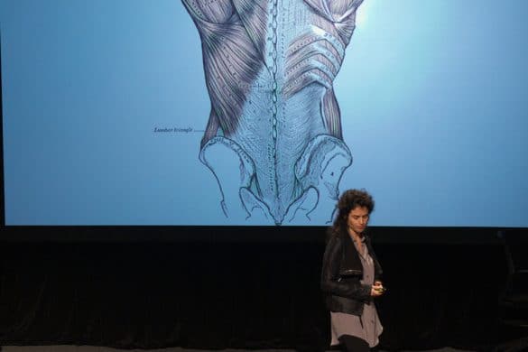 hugh dutton – Complexitys